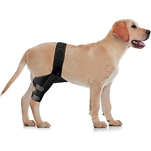JUANWAN Dog Knee Brace Leg Braces - Dog Canine Knee Stifle Brace Wrap Dog Knee Brace for Torn ACL Hind Leg Joint Pain Muscle Sore Pet Brace Reduces Pain and Inflammation (M)