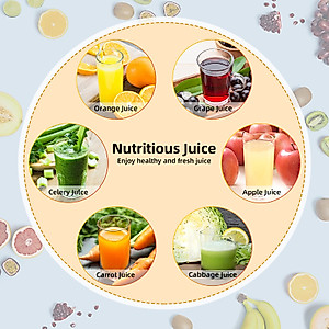 Masticating Juicer Accessories, Gdrtwwh Juicer Machines Attachments Compatible with All KitchenAid Stand Mixers and Cuisinart SM-50BC/SM-50R/SM-50TQ/SM-50BL/SM-50BK Stand Mixers,Black