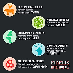 FIDELIS High Protein Grain-Free Freeze-Dried Raw Dog Food, Mixer, Animal Protein, Omega 3, Glucosamine, Cranberries, Blueberries, Active Dogs Small & Large, Adult & Puppy, Made in USA, Beef, 2 lbs