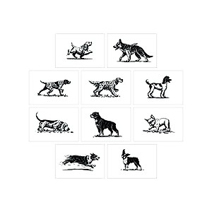 Dog Box: 100 Postcards by 10 Artists