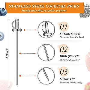 10 Pieces Stainless Steel Cocktail Picks Toothpicks 4.3 Inch Sword Metal Martini Drink Pick Sticks Appetizer Resuable Skewers Food Fruit Cocktail Toothpicks for Birthday Wedding Beach (Silver)