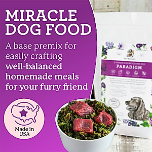 Dr. Harvey's Paradigm Green Superfood Dog Food, Human Grade Dehydrated Grain Free Base Mix for Dogs, Diabetic Low Carb Ketogenic Diet (Trial Size 5.5 oz)