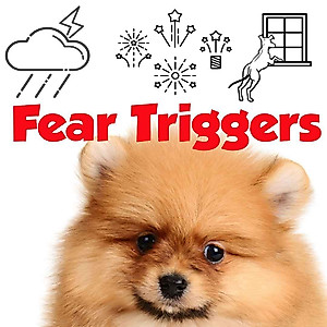 The Blissful Dog Pomeranian Relax Dog Aromatherapy Spray for Your Dog's Anxiety