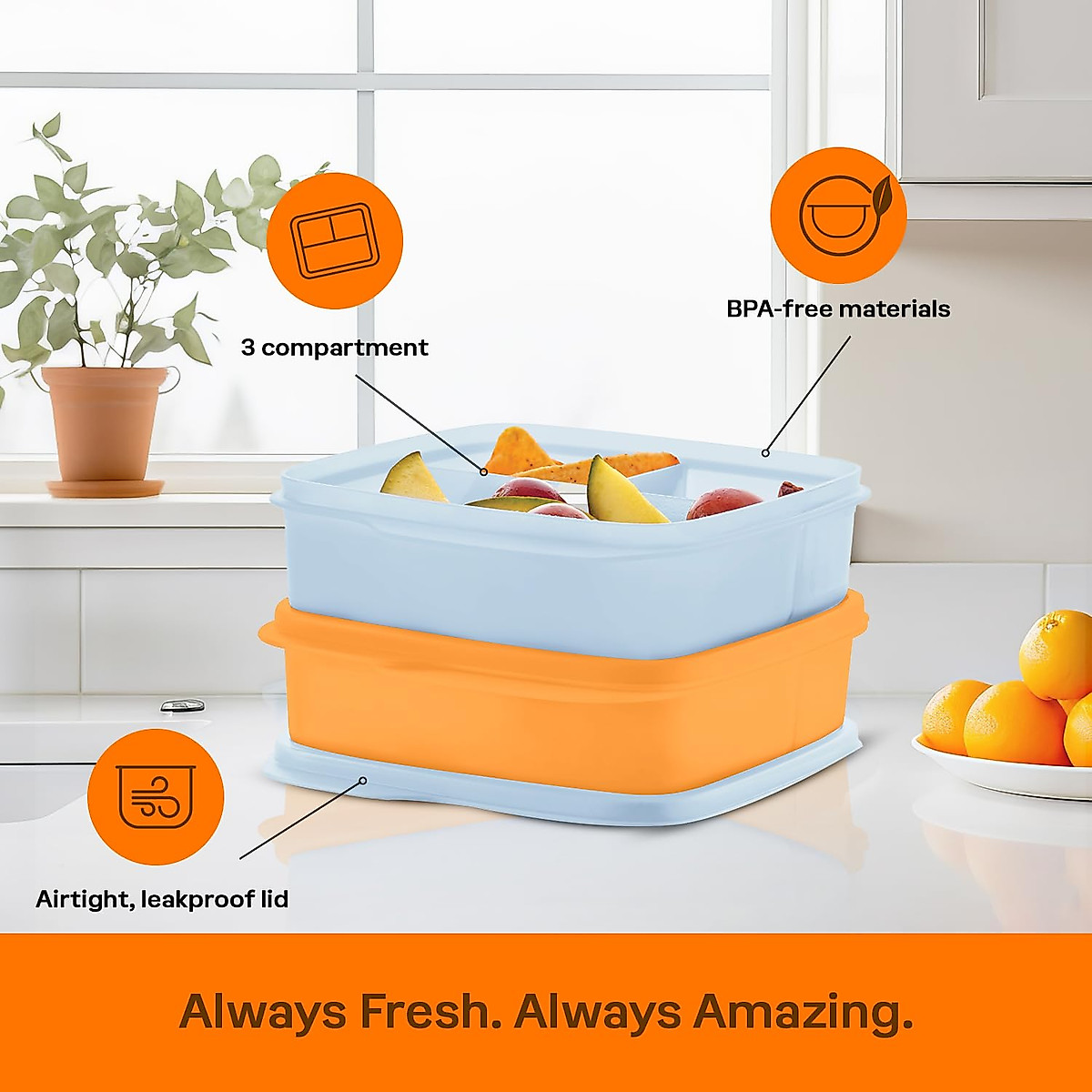 Tupperware Lunch-It Portion & Go Compact 2-Lunch Box Set, Dishwasher Safe and BPA Free (2.3 Cups/550 ml)