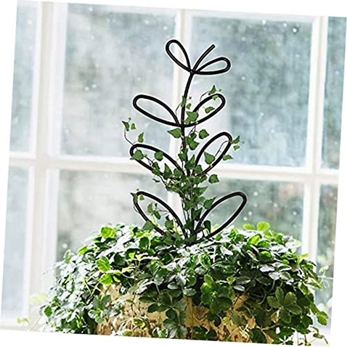 YARNOW 6 Pcs Plant Climbing Frame Indoor Decor Houseplants Live Indoor Green Roses Trellises for Plants Plant Cages Vine Plant Trellis Indoor Plant Trellis Plant Climbing Stand Iron Black