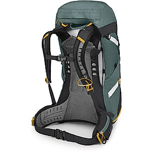 Osprey Sirrus 36 Women's Hiking Backpack, Succulent Green
