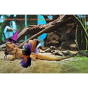 Vehomy 4Pcs Halloween Bearded Dragon Witch Costume Bearded Dragon Witch Hats Tutu Skirts Lizard Witch Outfit Small Pet Halloween Witch Costume for Chick Hamster Bird Parrot Bearded Dragon