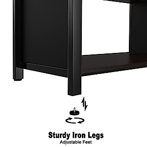 GDLF Metal Aquarium Stand with Cabinet for Fish Tank Accessories Storage, 40 Gallon, Turtle/ Reptile Terrariums