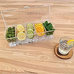 Evelots Ice Chilled Condiment Tray-5 Removable Compartments-Lid-2 Cup Containers
