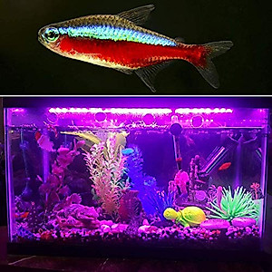 GreenSun LED Aquarium Light, Fish Tank Light with Remote Control, IP68 Submersible Waterproof Strip Bar Light,RGB Color Changing, 3.8 Watts 11inch/28cm