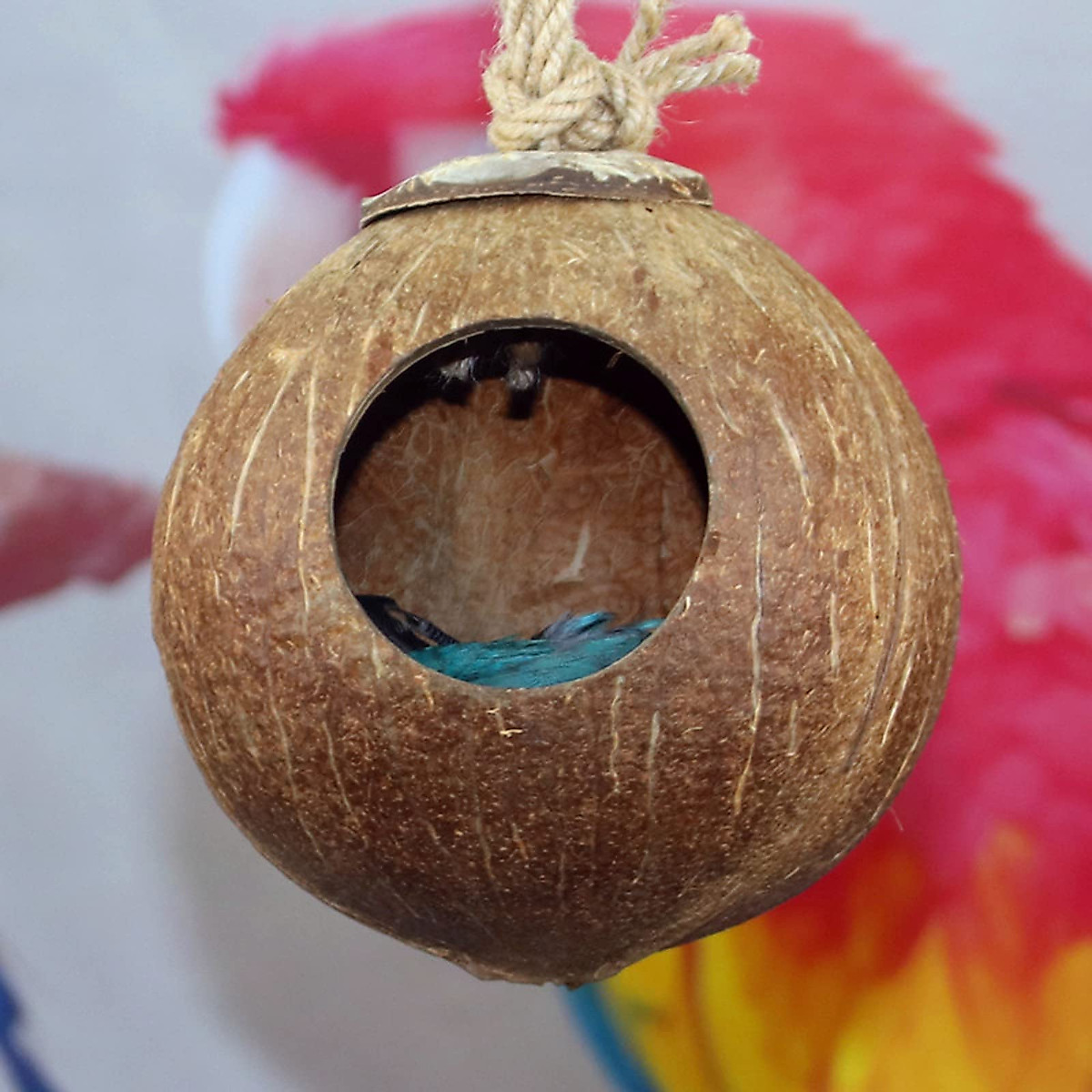 SLDHFE Coconut Bird Nest Hut,Natural Coconut Shell Bird Nest House,Coconut Bird Shell Breeding Nest for Hamster,Bird Cage Accessories,Pet Bird Supplies