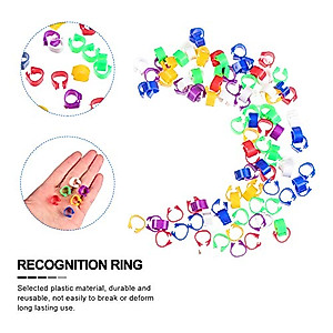 GANAZONO 200pcs 10mm Bird Ring Leg Bands Plastic Multi-Colour Pigeon Foot Bands Clip on Leg Rings for Chicks Bantam Finch Dove Lovebird Quail Small Poultry