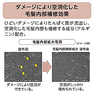 TSUBAKI JAPAN TSUBAKI repair milk 100ml