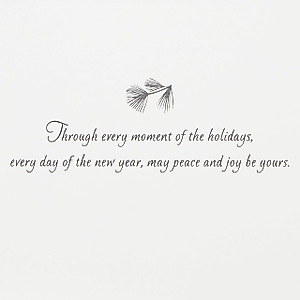 Hallmark Boxed Holiday Cards, Festive Greenery (40 Cards and Envelopes)