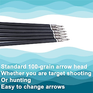 Carbon Arrows - 31 Inch Spine 500 Target Arrow with 100 Grain Removable Arrowhead for Compound Recurve Long Bows Practice & Hunting 12 Pcs