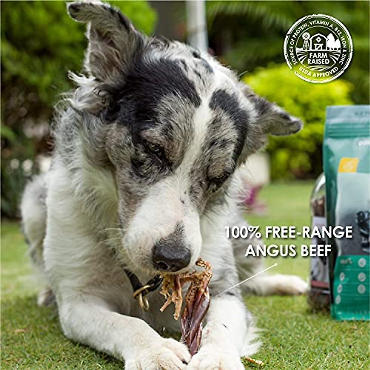 SUPERCAN BULLYSTICKS 12" Braided (30pc) Beef Bully Sticks for Small Medium Large Dogs - 100% Natural Dog Chews - Long Lasting Treats for Aggressive Chewers - Healthy Teeth - Free Range
