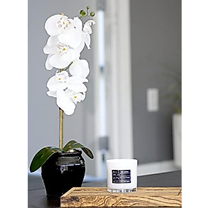 Lulu Candles | Island Coconut | Luxury Scented Soy Jar Candle | Hand Poured in The USA | Highly Scented & Long Lasting- 9 Oz.