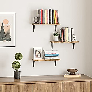 Wallniture Arras Rustic Wood Floating Shelves for Wall Storage, Wall Shelves for Living Room, Burnt Finish Plant Shelf Set of 3