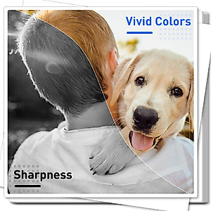 HavaTek Remanufactured 240 Ink Cartridge Replacement for Canon PG-240 Black for Canon Pixma MG3620 MG3600 MX452 MG2120 MG3520 MX472 MG3220 MX432 MG2220 MX512 MG3122 MG3222 MG3120 Printer (1 Pack)