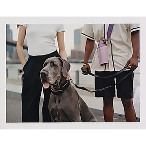 Stanley Cross Bottle 23 oz | Travel Water Bottle with Jacquard Strap | Leakproof Tritan Lid with Removable Straw | Insulated Stainless Steel | BPA-Free | Lilac