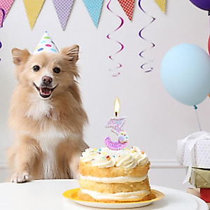 CasaPopz Dog Paw Birthday Number Candles for Cake Decoration, Pink Dog Cat Paw Number 4 Candle, Dog Themed Birthday Cake Topper for Party Decorations Favors Supplies