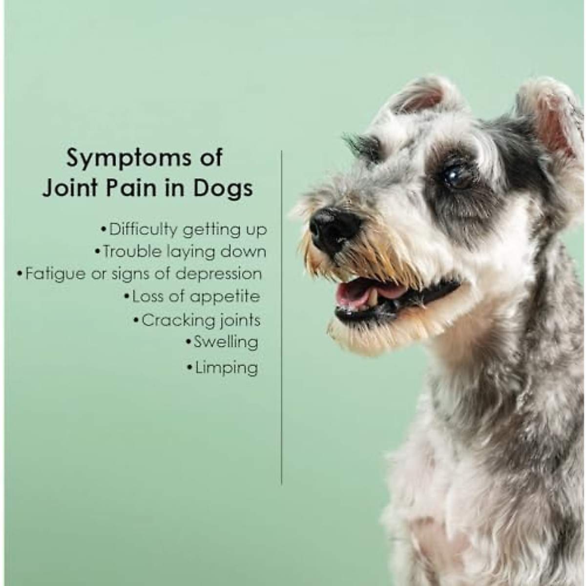 Pet Health Solutions Hylox Soft Chews for Dogs - Supports Joints & Cushions Connective Tissues - Glucosamine - Alpha Linolenic Acid - Creatine -120 Soft Chews