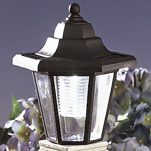 Bits and Pieces - Solar Yorkie Lantern-Solar Powered Garden Lantern - Resin Dog Sculpture with LED Light