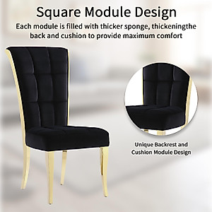 Asday Black and Gold Dining Chairs Set of 4, Black Velevt Upholstered Kitchen Chair with Metal Ring Pull, High Back Dining Chairs with Gold Stainless Steel Legs