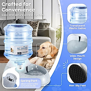 Flexzion Gravity Pet Water Dispenser Drinking Station for Dogs Cats (3 Gallon) Automatic Replenish Waterer for Small Large Breed Dog Cat,Feeding Watering Fountain Supplies Bottle Dish Bowl