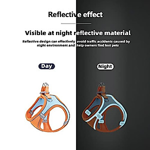 Richcatty 2.0 Step in Air Dog Harness with 59“ Pet Leash for Dogs&Cats-Super Breathable Stable and Lightweight No Feeling Design More Comfortable (Blend Orange, S(Pet Weight 8.8-12.1Lb))