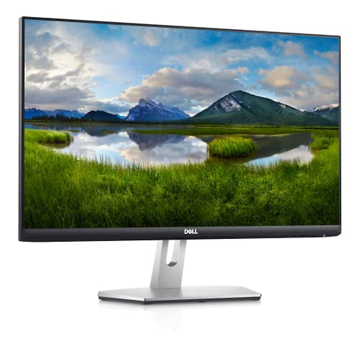 Dell S2421HN 24 Inch Full HD 1080p (1920 x 1080) 75Hz IPS Ultra-Thin Bezel Monitor 2 x HDMI Ports, Audio Line Out, Adaptive AMD FreeSync, Silver