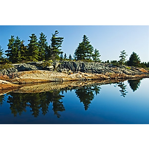 Posterazzi Tree's Reflection In Water Georgian Bay Ont Poster Print, (36 x 24)