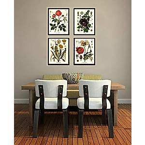 Botanical Flower Set of 4 Art Prints Antique Beautiful Red Rose Poppy Large Black Hollyhock Dandelion Spring Summer Garden Home Room Wall Decor Unframed KOH