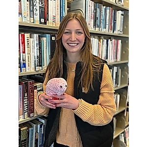 GIANTmicrobes Brain Plush, Brain Toy, Brain Stuffed Animal, Brain Gifts For Neurologist, Brain Surgery Recovery Gifts, Neurology Gifts, Neuroscience Gifts, Brain Injury Gift, Brain Decor, Biology Gift