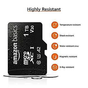 Amazon Basics microSDXC Memory Card with Full Size Adapter, A2, U3, Read Speed up to 100 MB/s, 1 TB