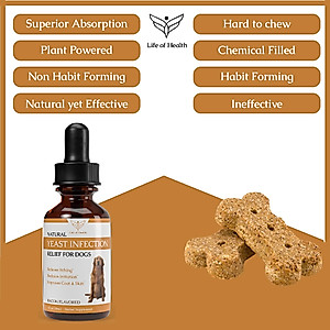 Natural Yeast Infection Treatment for Dogs | Supports Healthy Itch Relief, Inflammation Relief, Allergy Relief & More | Dog Yeast Ear Infection Treatment | Dog Itch Relief | Dog Allergy Relief