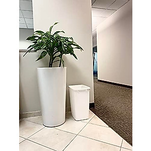 Rubbemaid FG2806TPBISQU Rubbermaid Small Trash, 9-Gallons, Beige, Plastic Garbage Can/Wastebasket for Kitchen/Bathroom fits Under-Sink/Desk/Countertop/Cabinet, 21-quart, Bisque