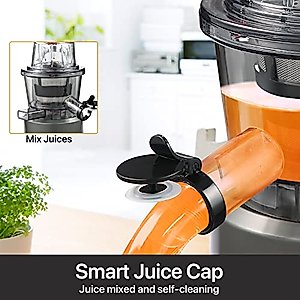 SIFENE Vertical Cold Press Juicer, Slow Masticating Juicer Machine, Juice Maker Extractor with 3.2" Big Mouth for Whole Fruits and Vegetables, Easy to Clean