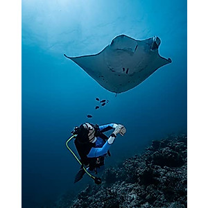 Garmin Descent Mk2S (Carbon Gray DLC/Black) GPS Divers Computer Watch Diver's Bundle | Includes PlayBetter Dry Bag Set | Wrist-Based HR, 6 Dive Modes, ABC Sensors | Diving Smartwatch | 010-02403-06