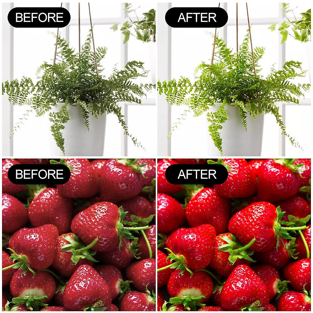 mfxmf 2 Pack LED Grow Light Bulbs A19 Bulb, Full Spectrum Plant Light Bulb, 9W E26 Grow Bulb Replace up to 80W, Grow Light for Indoor Plants, Flowers, Greenhouse, Indore Garden, Hydroponic