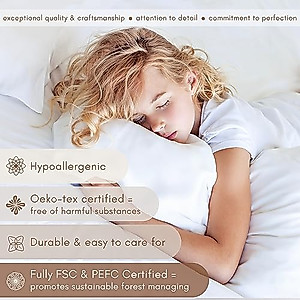 The Silk Lady Pillowcase 100% Organic Mulberry Silk - Matte Finish - (Travel 12" X 16")