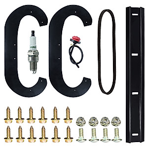 POSEAGLE 753-06469 Paddle Kit with 731-08171 Shave Plate 954-04050A Belt for Cub Cadet MTD 221HP, 221LHP, 1X21LHP, 1X221HP, RM2100, Troy Bilt Squall 210, 2100, 123R, 179E, 208E, 208XP Snow Blowers