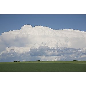 Posterazzi Dramatic Thunderstorm Clouds In Green Wheat Fields And Blue Sky Alberta Canada Poster Print, (38 x 24)