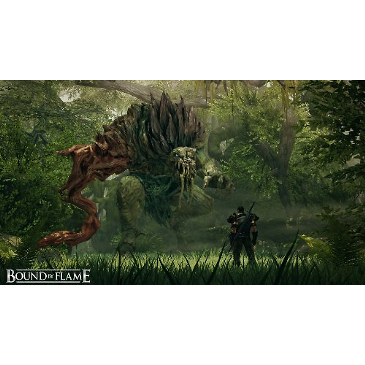 Bound by Flame - PlayStation 4 Standard Edition