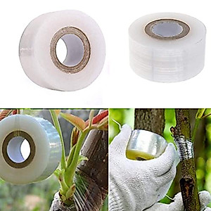 Nursery Grafting Tape Stretchable BIO-degradable 3cm x 100M