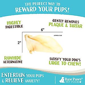 Raw Paws Cow Ears for Dogs - Large, 5-ct - Beef Ears Packed in USA, Thick Dog Cow Ears for Puppies & Dogs, Real Natural Cows Ears from Free Range, Cattle - No Added Hormones, Jumbo Cow Ears Dog Treats