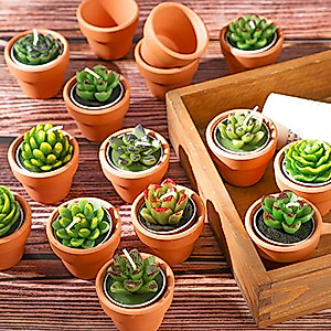 18 Pcs Succulent Cactus Tealight Candles Handmade Tea Lights Baby Shower Plant Candle Gift with Mini Terracotta Clay Candle Holders for Birthday Christmas Wedding Party Home Decoration (Cute)