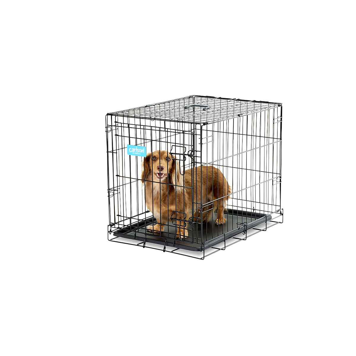 Carlson Pet Products SECURE AND FOLDABLE Single Door Metal Dog Crate, Small, 24.0"L x 18.0"W x 19.0"H
