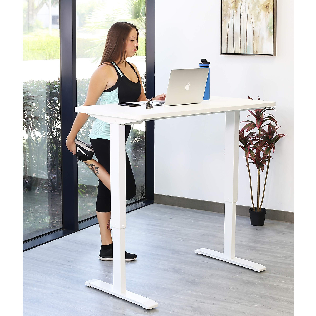 Motionwise Electric Standing Desk, 24”x48 Home Office Series, 28"-48" with Quickly Program up to 4 pre-Set Height adjustments and USB Charge Port, White Frame