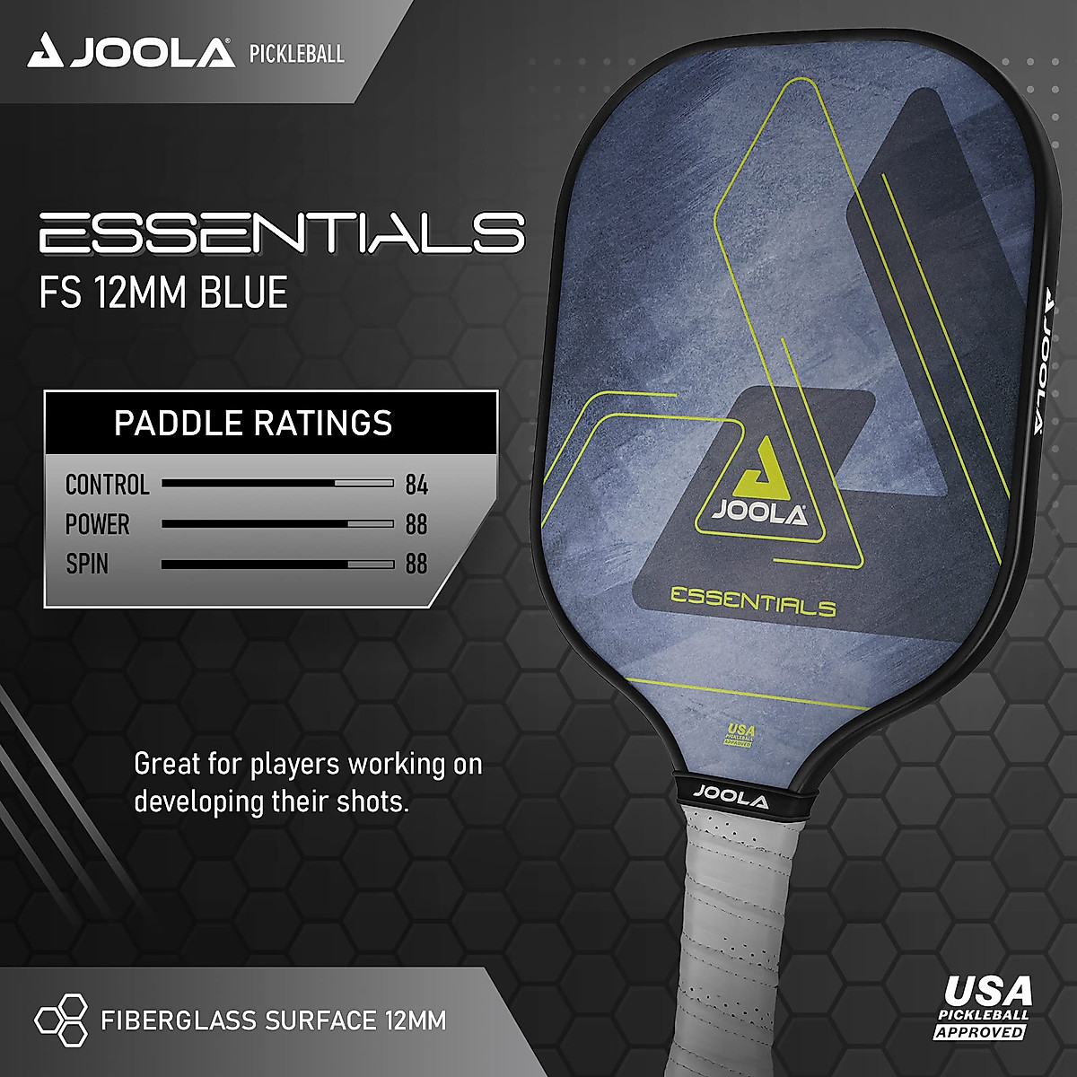 JOOLA Essentials Performance Pickleball Paddle with Reinforced Fiberglass Surface and Honeycomb Polypropylene Core, Blue